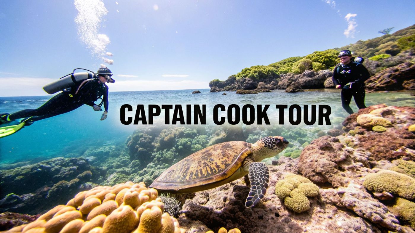 Best Captain Cook Snorkel Tour In Hawaii | Kona Snorkel Trips