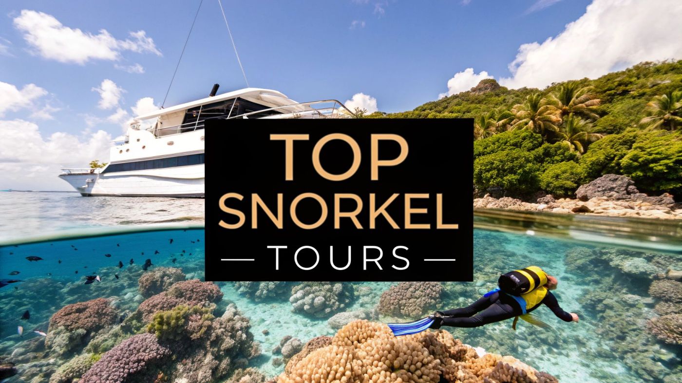 Top 5 Captain Cook Snorkel Tour Operators (2025) | Kona Snorkel Trips
