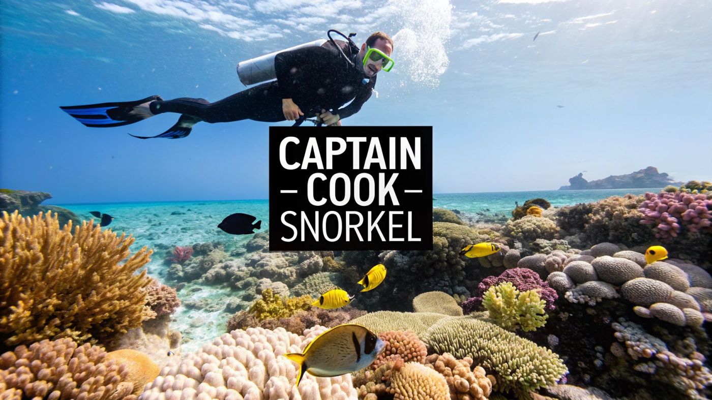 Captain Cook Snorkel Tour: Explore Hawaii’s Underwater World | Kona ...