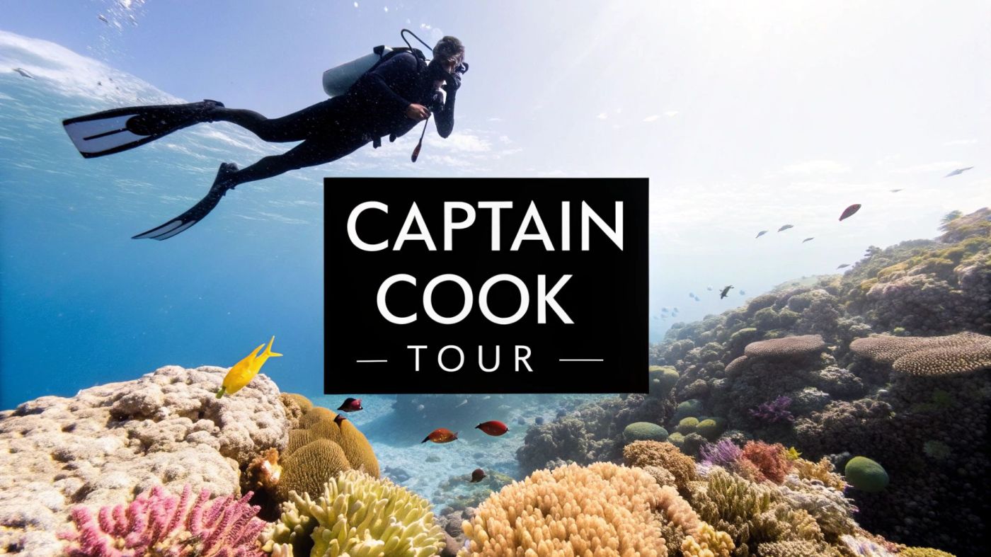 Captain Cook Snorkel Tour: Explore Hawaii’s Hidden Reefs | Kona Snorkel ...