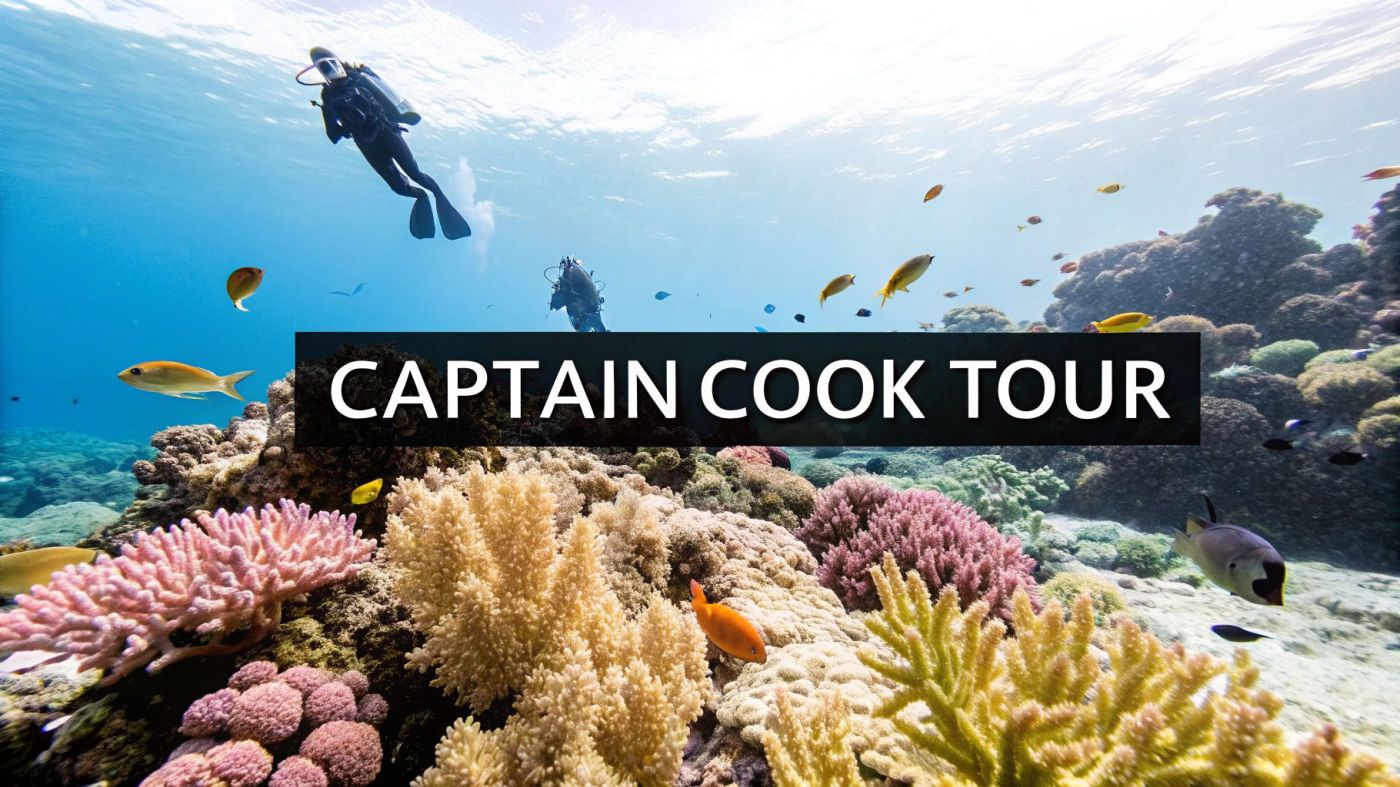 Captain Cook Snorkel Tour: Kealakekua Bay’s Best Adventure | Kona ...
