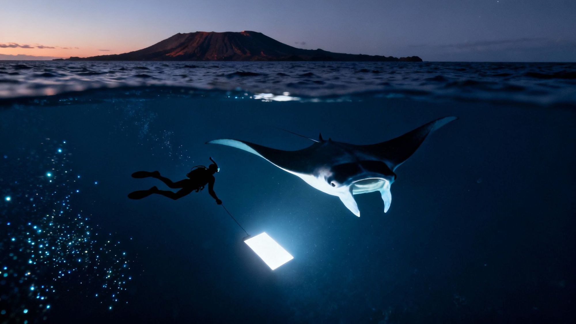 Your Ultimate Guide To Hawaii Manta Ray Snorkel Adventures | Kona ...